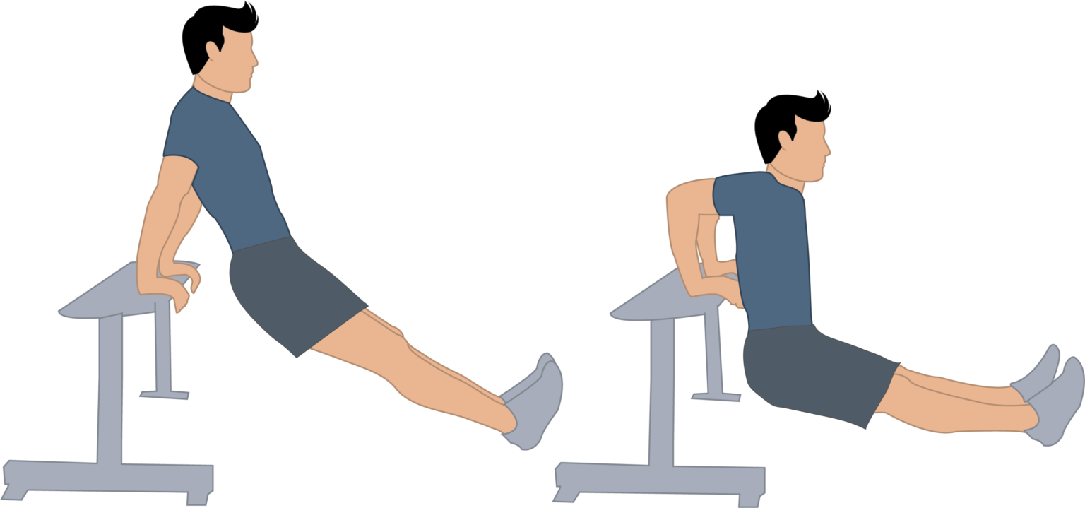 Prise de masse au poids du corps : quel programme de musculation Prise de masse au poids du corps : quel programme de musculation